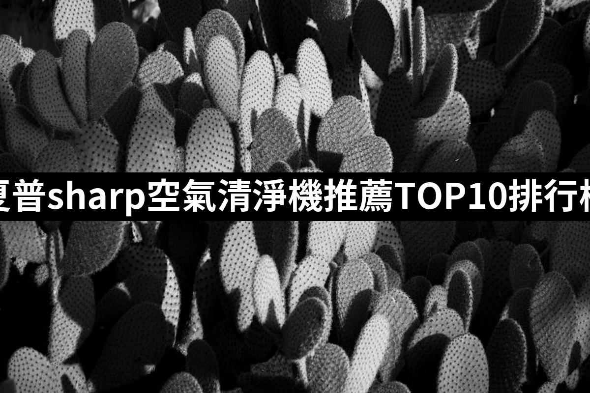 【2025】夏普sharp空氣清淨機推薦ptt》10款高評價人氣品牌排行榜 | 好吃美食的八里人